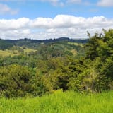 Puhoi Lookout Track, Auckland, New Zealand - 45 Reviews, Map | AllTrails