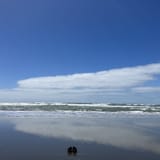 Bottle Lake Forest Blue Track, Canterbury, New Zealand - 238 Reviews ...