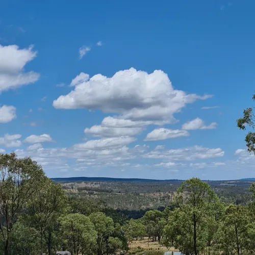 Best Hikes and Trails in Benarkin State Forest | AllTrails