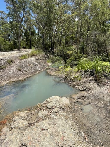 2023 Best 10 Waterfall Trails in D’Aguilar National Park | AllTrails