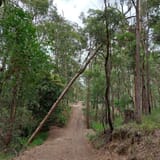 Samford Conservation Park Loop, Queensland, Australia - 477 Reviews ...