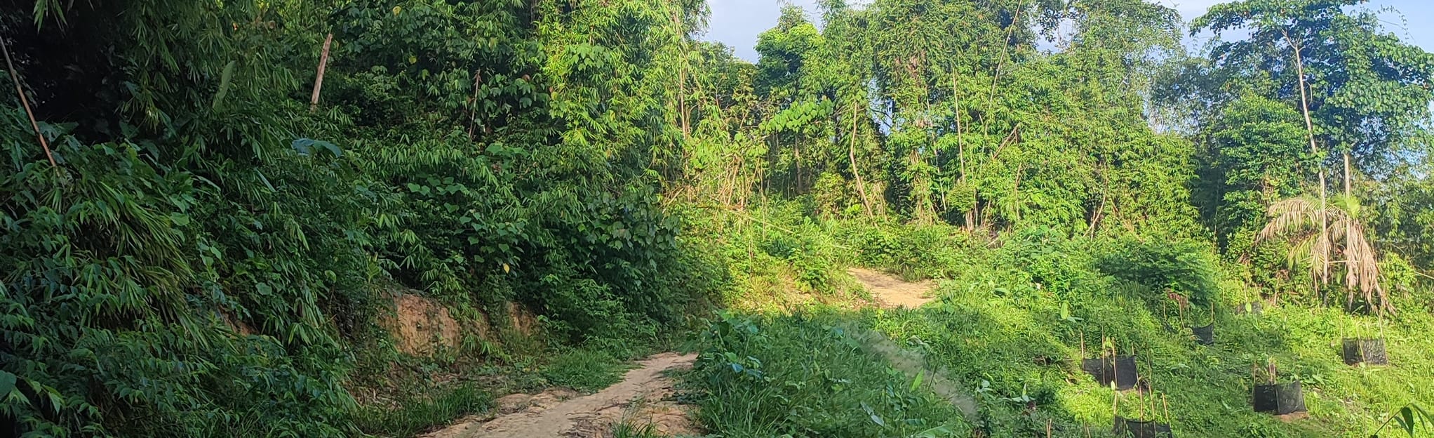 Bukit Lagong via Jalan Bidara Loop, Selangor, Malaysia - 102 Reviews ...