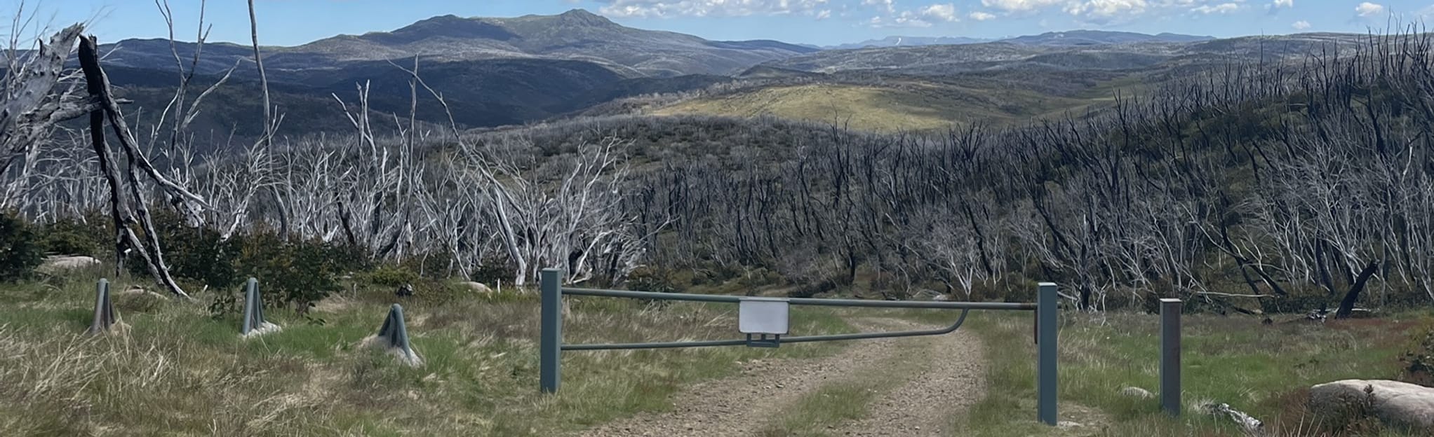 Round Mountain Hut Walking Track: 7 Fotos - New South Wales, Australien ...