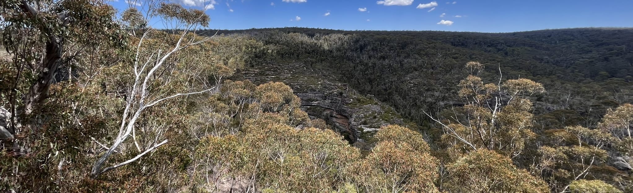 Deep Pass Circuit: 23 Reviews, Map - New South Wales, Australia | AllTrails