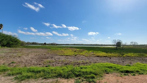 Best Hikes and Trails in Santa Ana National Wildlife Refuge | AllTrails