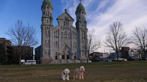 Best Hikes and Trails in Kennedy Park | AllTrails