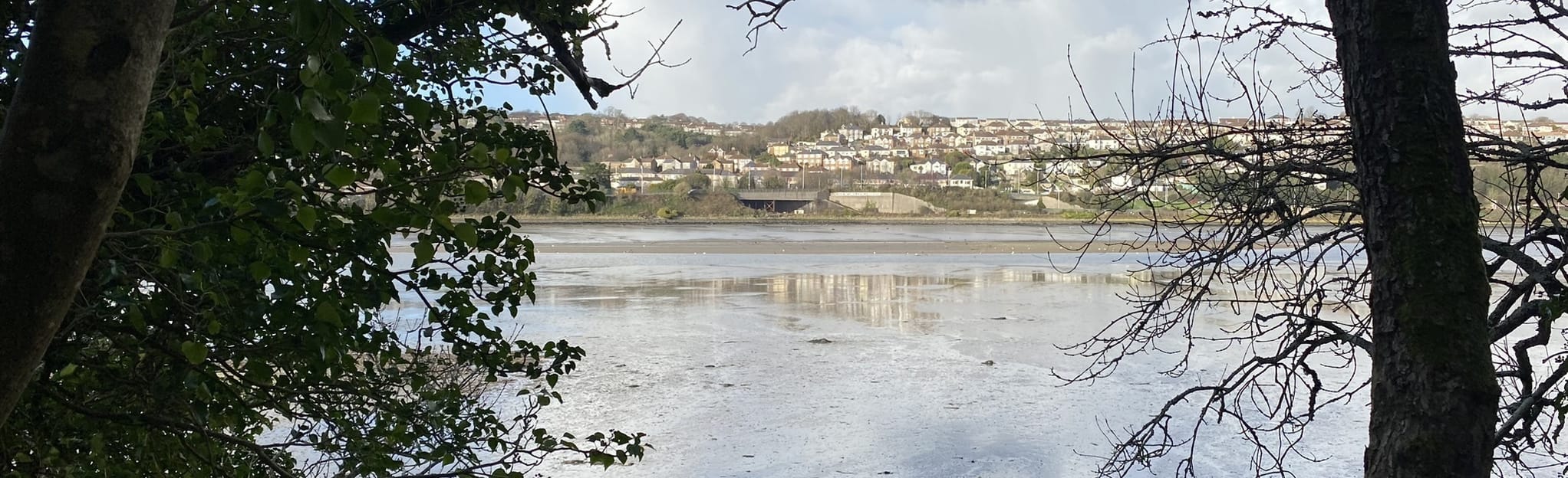 Saltram House Woodland and Riverside Circular | Map, Guide - Devon ...