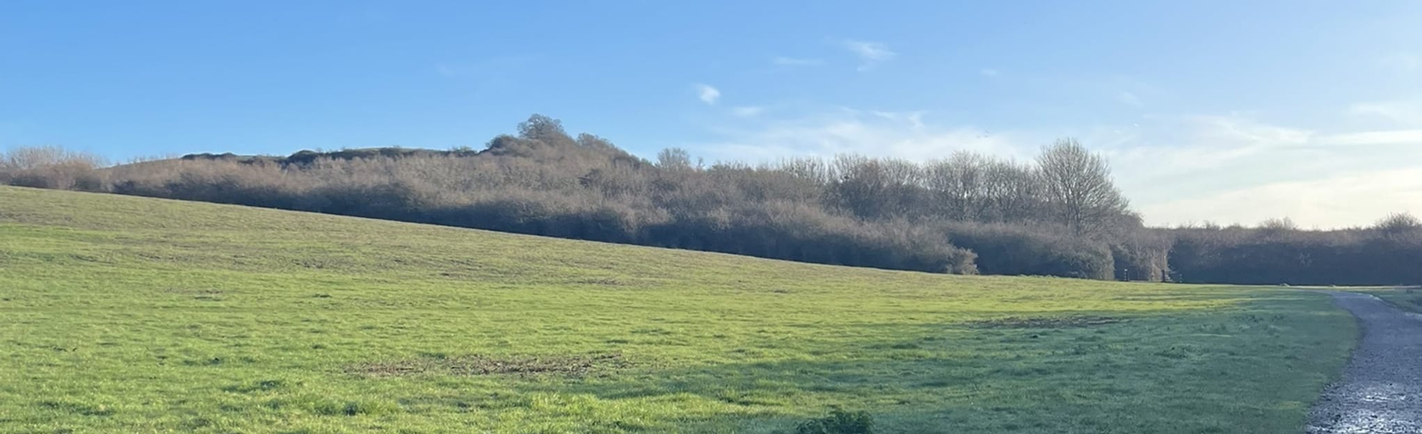 Hadleigh Castle Country Park Blue Walk Circular: 12 foto's - Essex ...