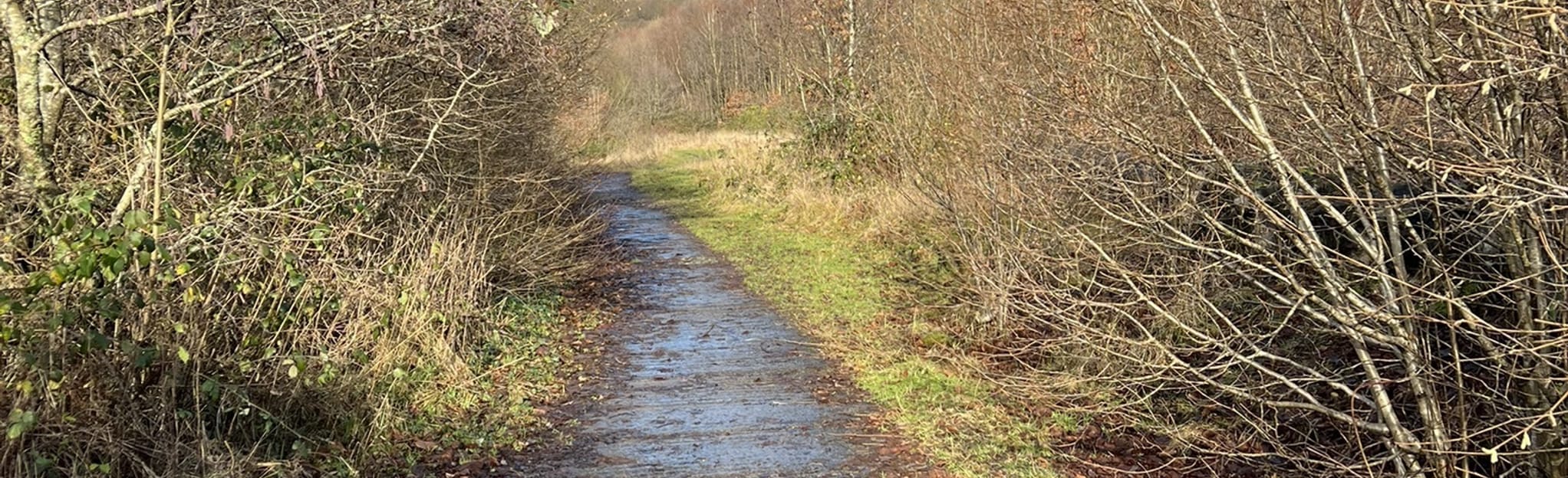 Ynysybwl and Coed-y-cwm Circular, Rhondda Cynon Taf, Wales - 14 Reviews ...