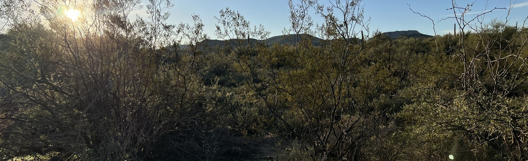 Table Mesa Road Trail, Arizona - 254 Reviews, Map | AllTrails