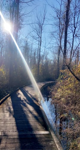 Best Hikes and Trails in Lee State Park | AllTrails