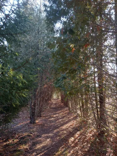 Best Hikes and Trails in Perch Creek Habitat Management Area | AllTrails