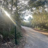 Shadow Bay Park Loop, Florida - 198 Reviews, Map | AllTrails
