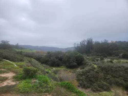 Best Hikes and Trails in Orcutt Community Park | AllTrails
