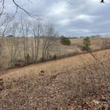 Alcorn Branch Falls, Kentucky - 23 Reviews, Map | AllTrails