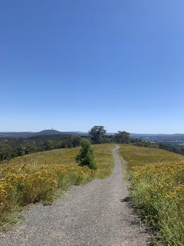 10 Best Walking Trails in Red Hill Nature Reserve | AllTrails