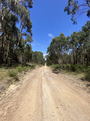 Best Hikes and Trails in Wandong Regional Park | AllTrails