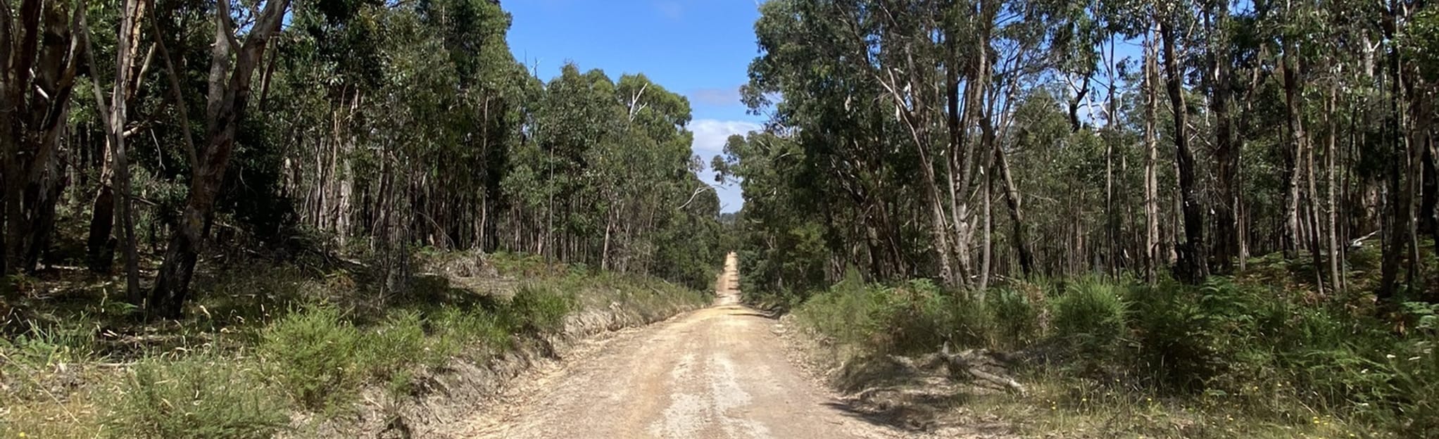 Wandong Regional Park Loop, Victoria, Australia - 11 Reviews, Map ...