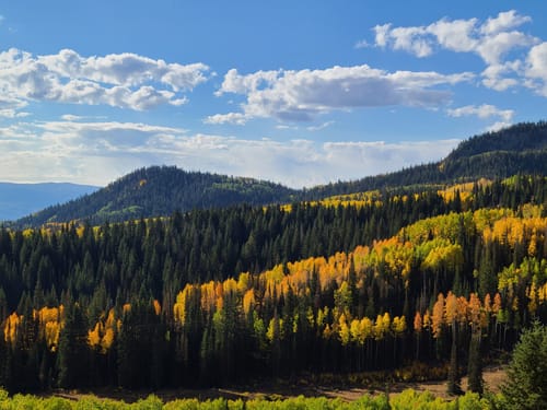 Best Hikes and Trails in Bonanza Flat Conservation Area | AllTrails