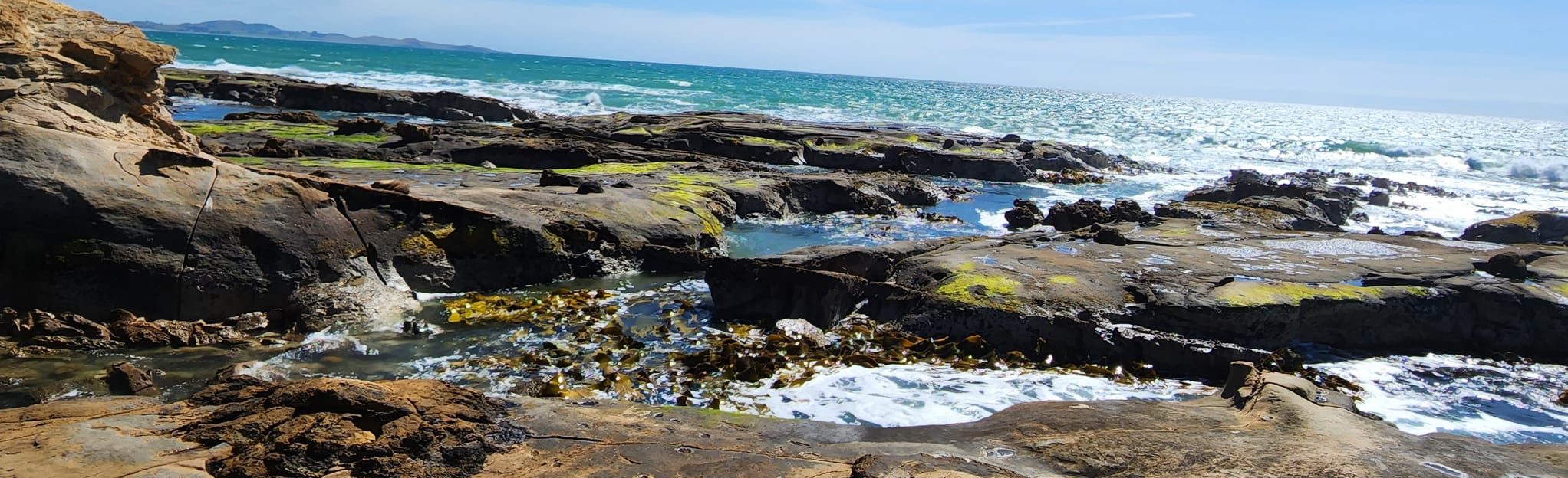 Shag Point Seal Viewing Walk, Otago, New Zealand - 7 Reviews, Map ...