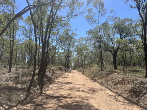 Best Trails, Walks, and Paths in Axedale | AllTrails