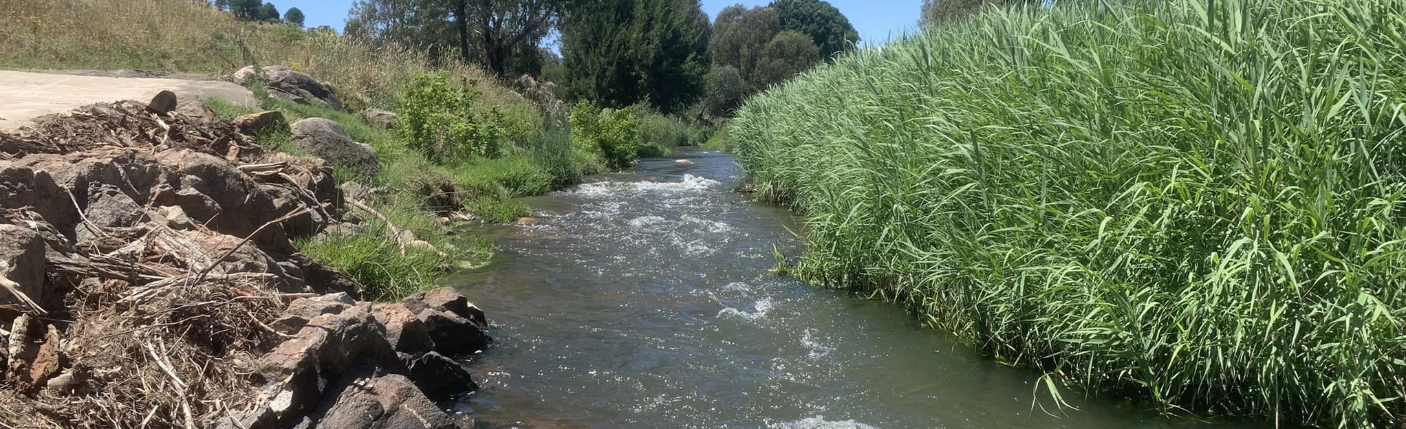 Adelong Falls Mine Trail via Adelong Creek | Map, Guide - New South ...
