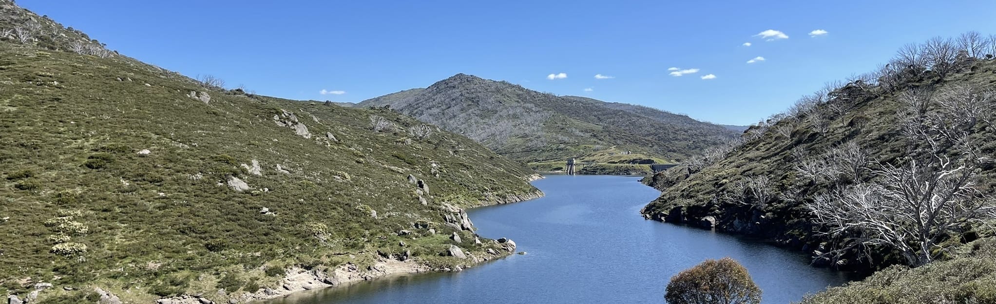 Illawong Walk, New South Wales, Australia - 264 Reviews, Map | AllTrails