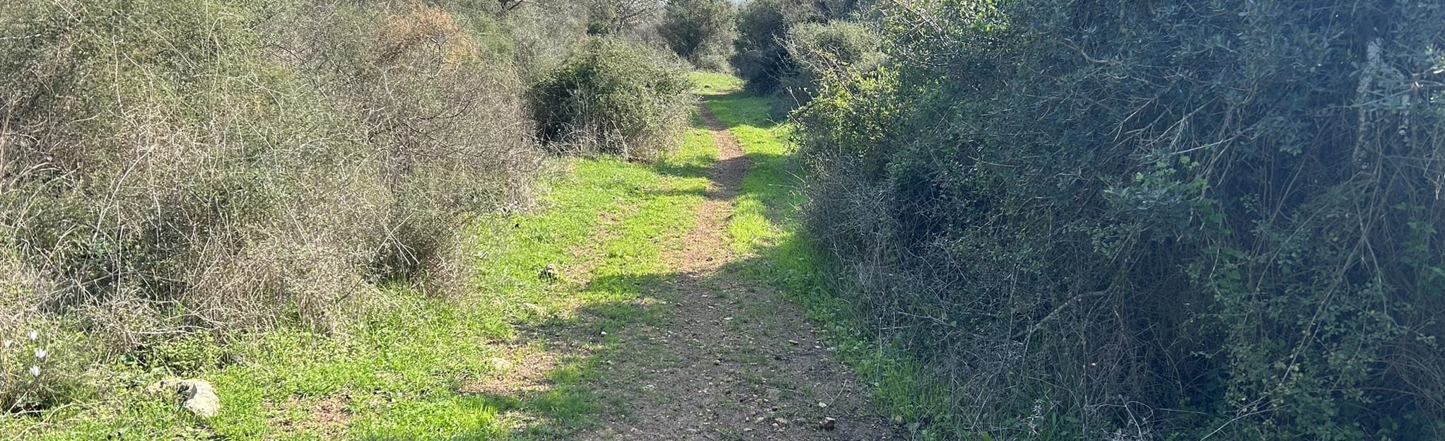 Zarzir to Tel Shimron via Qiryat Tivon and Kfar Tikva, Northern ...
