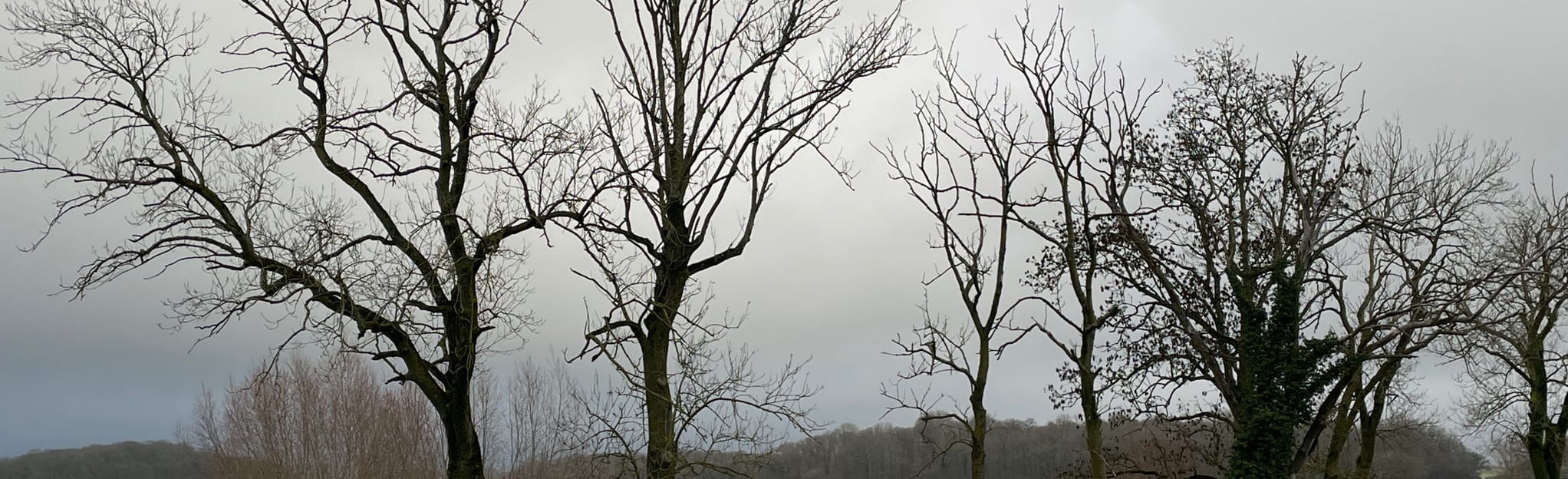 Road bike loop Soleuvre - Sanem: 1 Reviews, Map - Esch-sur-Alzette ...