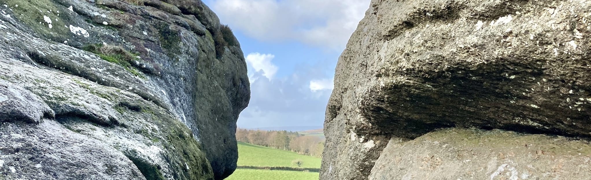 Bridford Wood and Heltor Rock Circular: 10 Reviews, Map - Devon ...