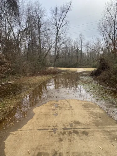 2023 Best Wheelchair Friendly Trails in Paul G Boorman Trail Park ...