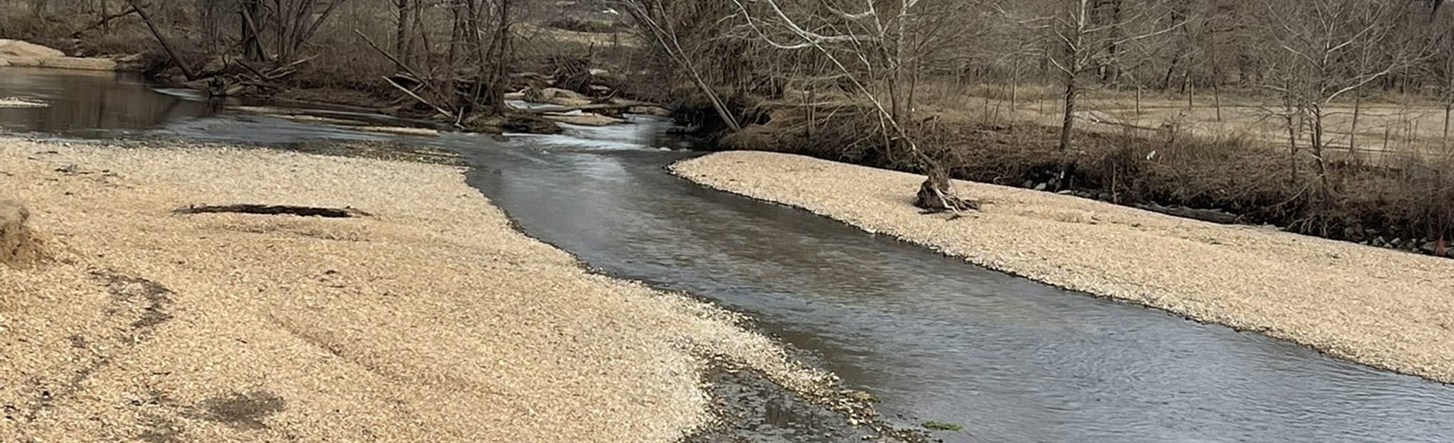 Slaughter Pen Trail, Arkansas - 200 Reviews, Map | AllTrails