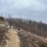 Lehigh Gap via Appalachian Trail, Pennsylvania - 281 Reviews, Map ...