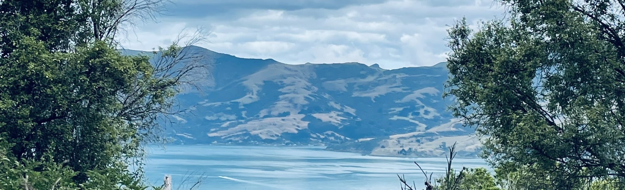 Akaroa Heritage Park via Woodills Track: 9 Reviews, Map - Canterbury ...
