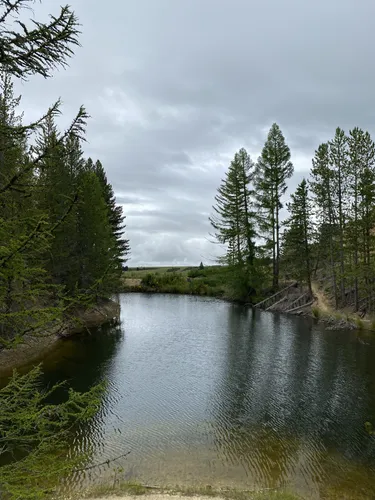 Best Hikes and Trails in Naseby Forest | AllTrails