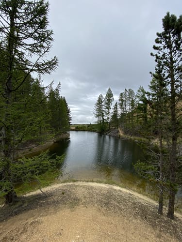 Best Hikes and Trails in Naseby Forest | AllTrails