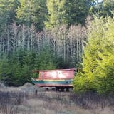 Larry Scott Trail, Washington - 377 Reviews, Map | AllTrails