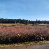 Larry Scott Trail, Washington - 377 Reviews, Map | AllTrails