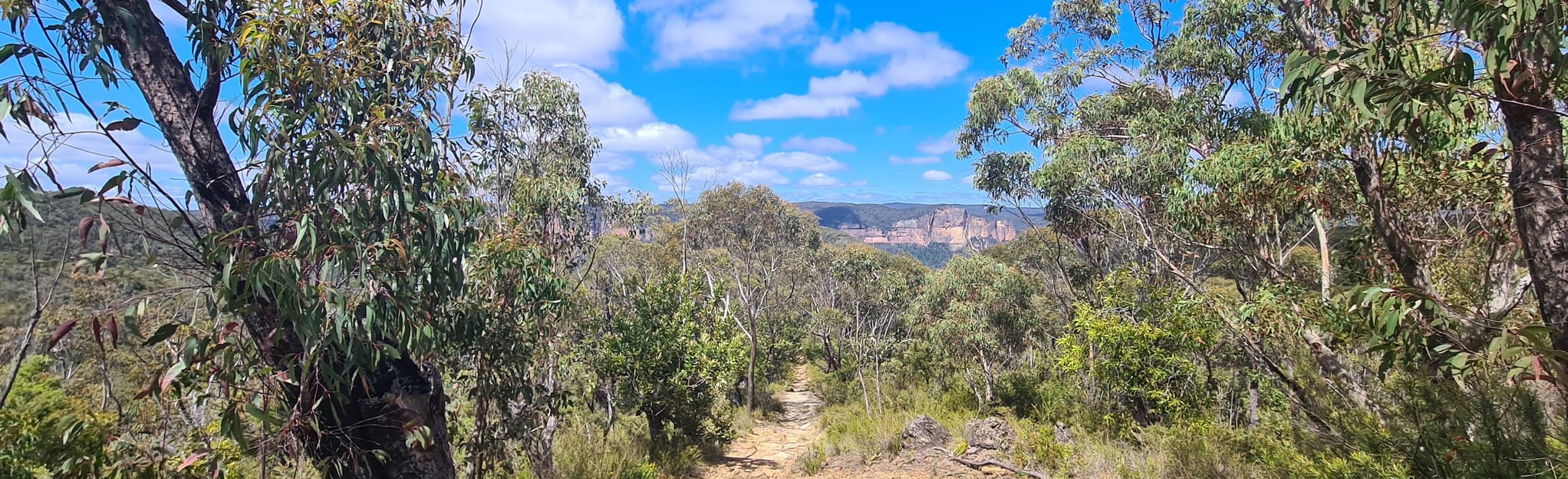 Walls Lookout via Pierces Pass Lookout Track : 134 foto - Nuovo Galles ...