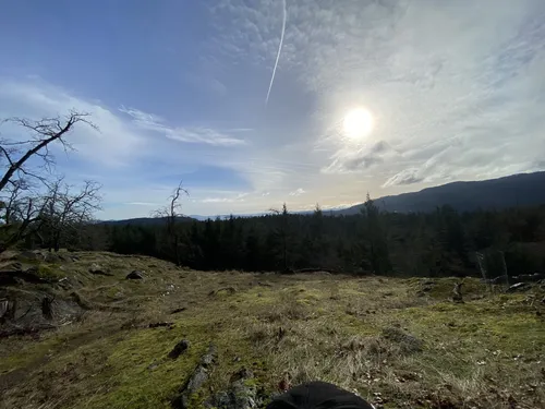 10 Best Trails and Hikes in Saltspring Island Trust Area | AllTrails