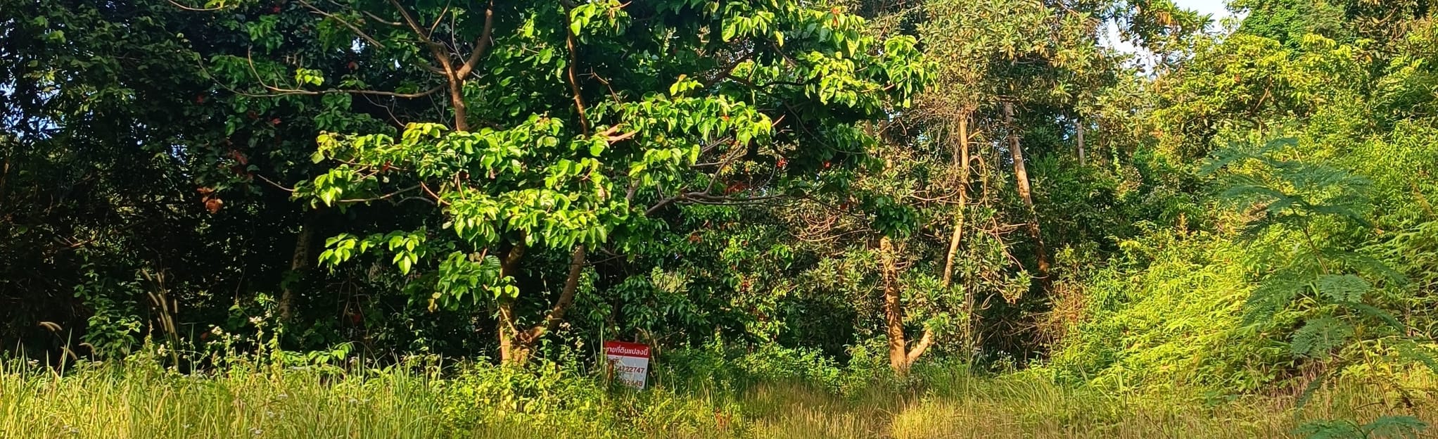 Koh Sire Loop: 7 Fotos - Phuket, Tailândia | AllTrails