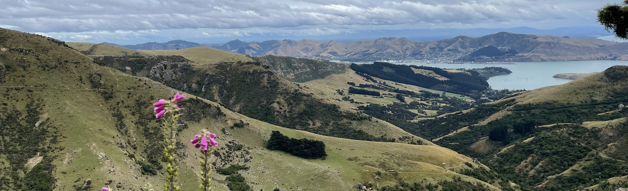 Mount Herbert Walkway Trail via Monument Shelter Hut, Canterbury, New ...