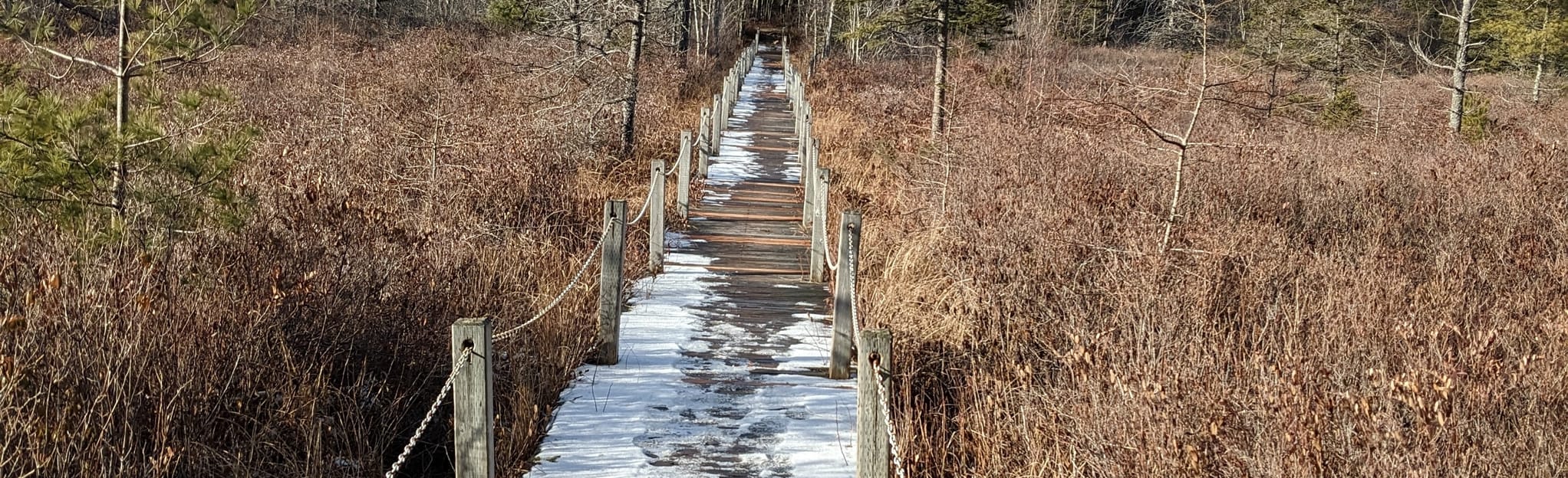 Anne Dodge Loop - Nova Scotia, Canada | AllTrails