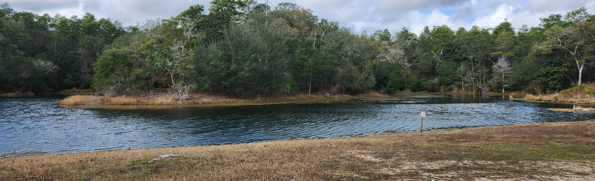 Timber Lake Trail West | Map, Guide - Florida | AllTrails