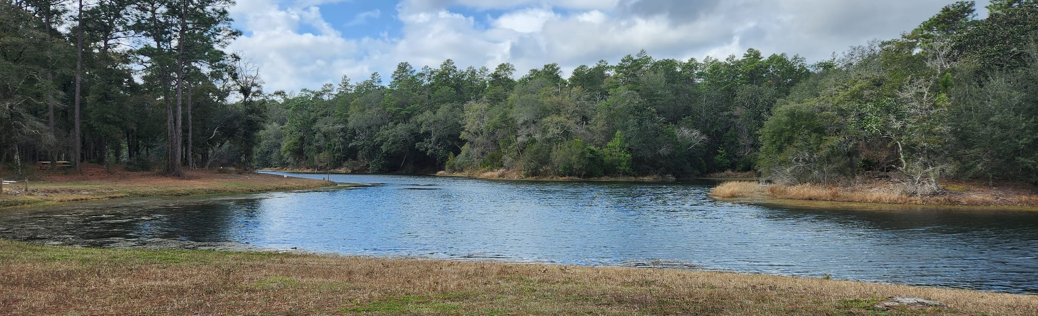 Timber Lake Trail West, Florida - 174 Reviews, Map | AllTrails