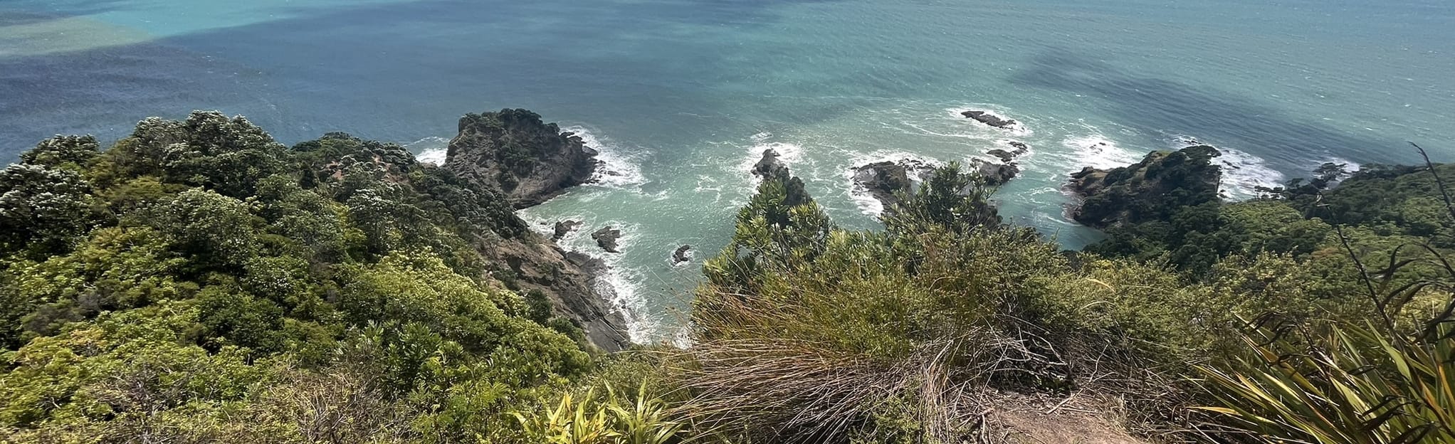 Kohi Point Walkway: 78 Reviews, Map - Bay of Plenty, New Zealand ...