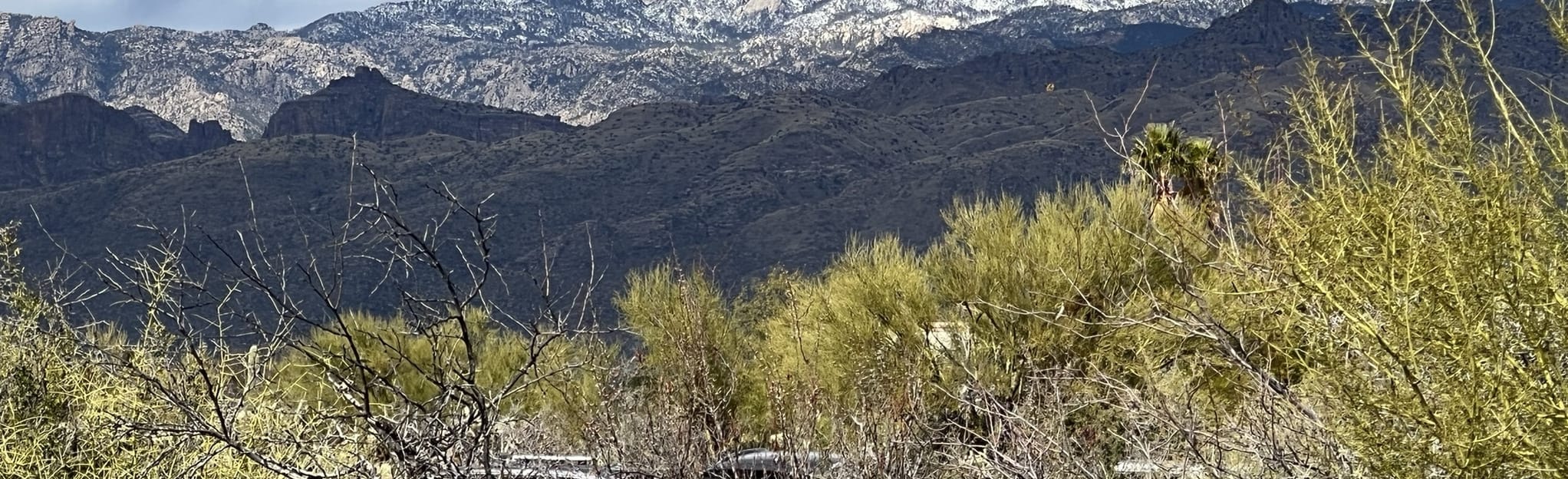 Mica View Trail, Arizona - 405 Reviews, Map | AllTrails