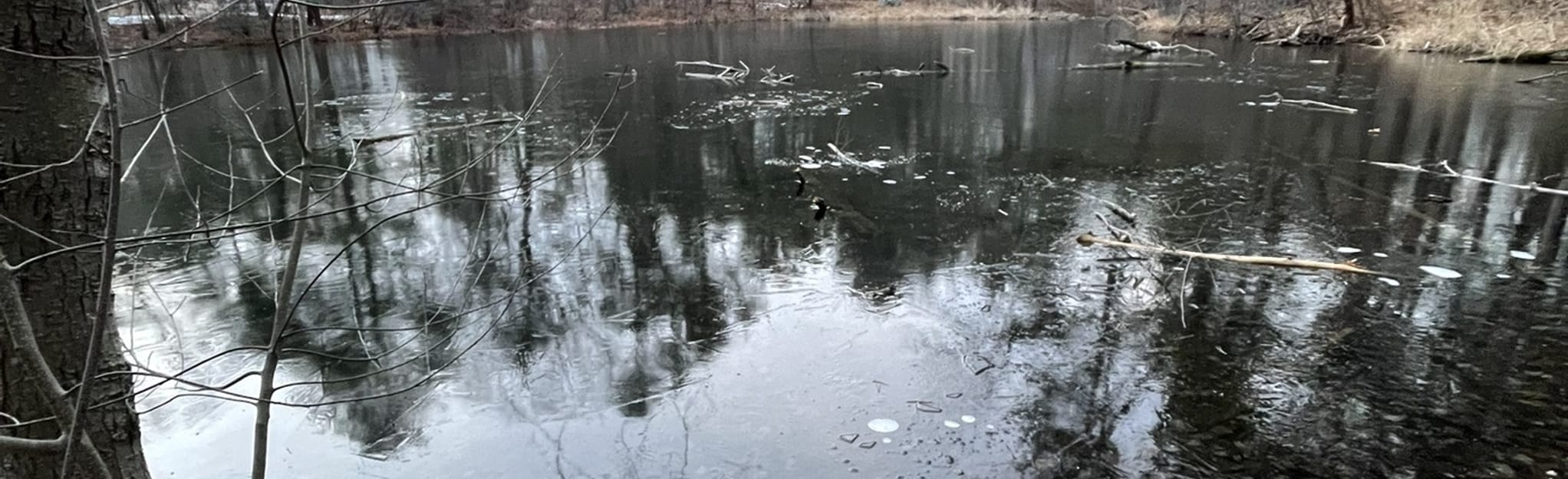 Crooked Spring Loop: 43 Reviews, Map - Massachusetts | AllTrails