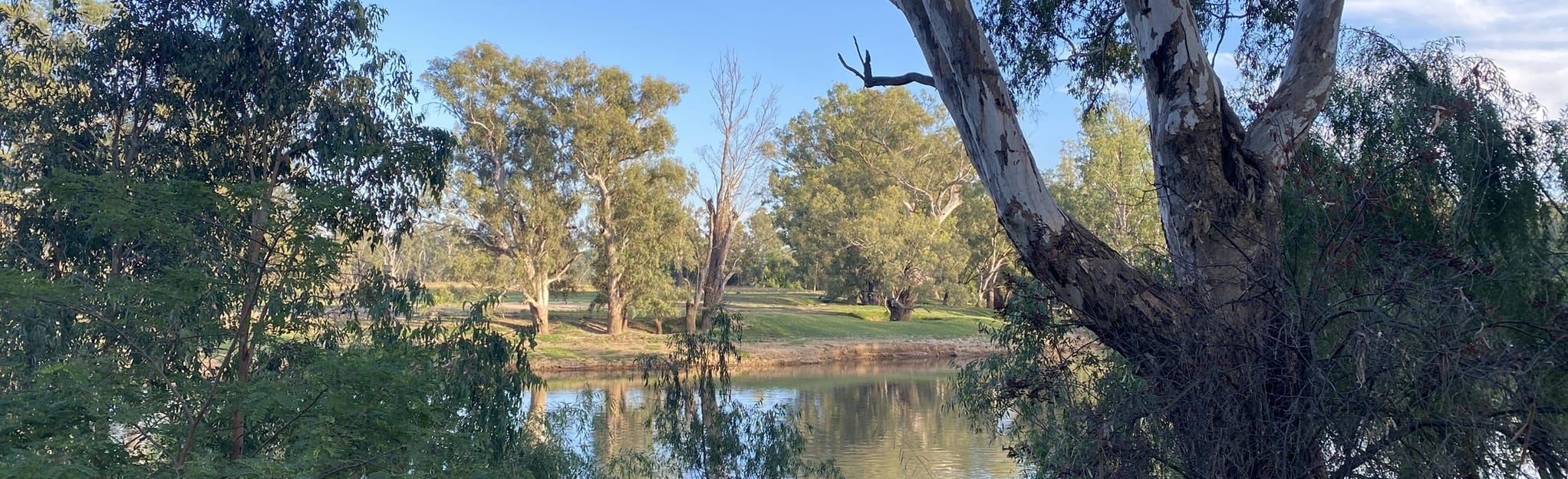 Marrambidya Wetlands via Wiradjuri Walking Track: 35 Reviews, Map - New ...