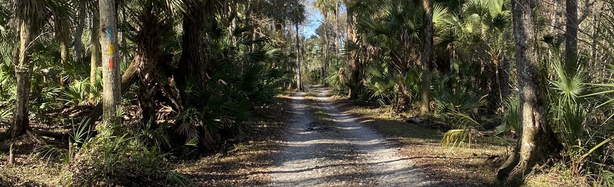 Triple N Ranch Yellow Trail, Florida - 6 Reviews, Map | AllTrails